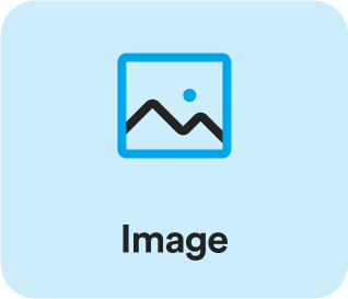 Auto Translate - Learn the language of car